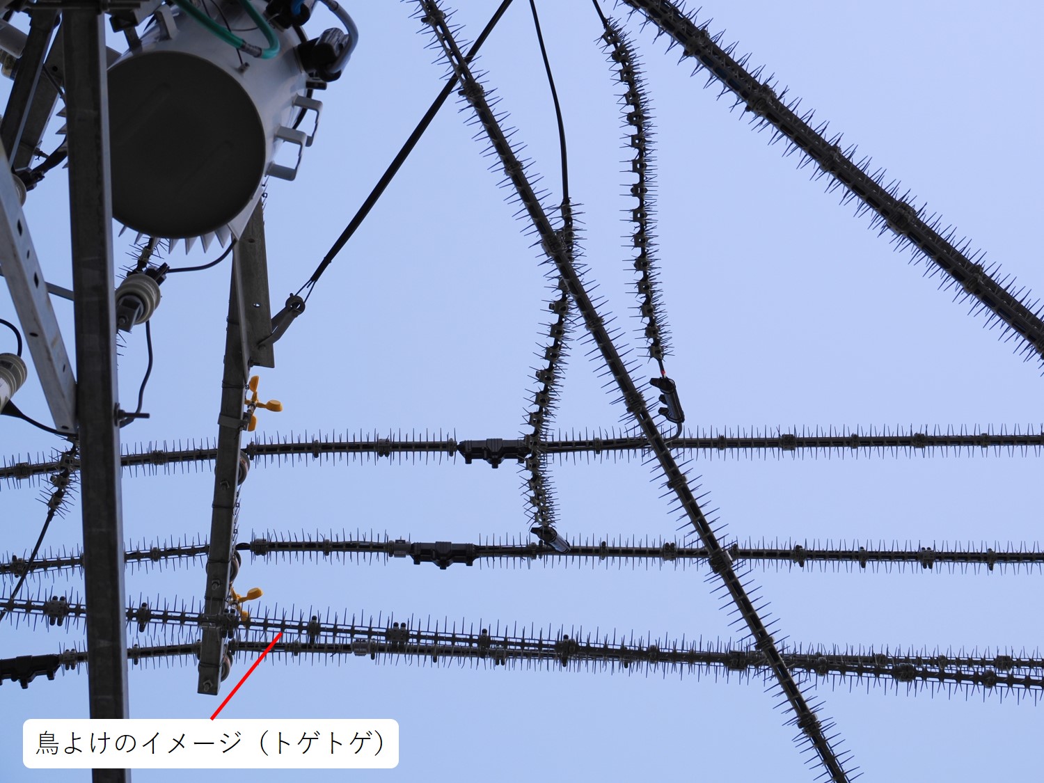 【わが家の実例】敷地内に電柱を建てるデメリットを紹介【メリットある？】 | のちぐらし